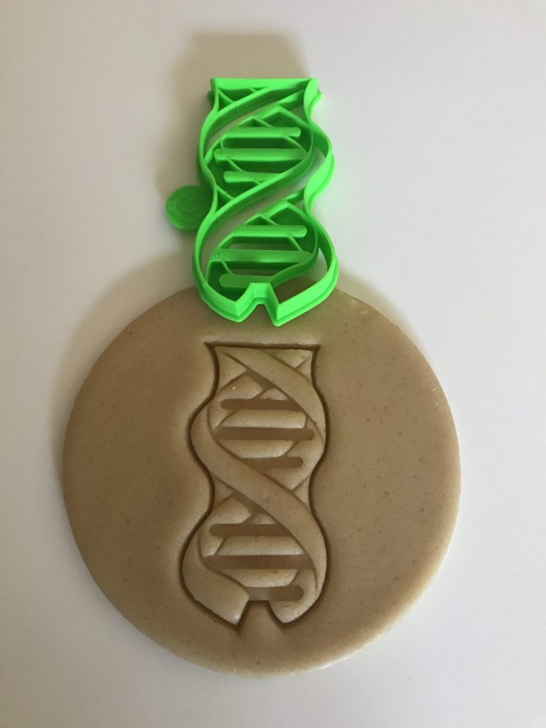 DNA Cookie Cutter - Imagination Lab